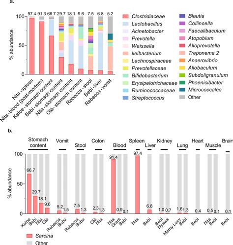Bacterial 16s Rdna Microbiome Analysis Of Epizootic Neurologic And