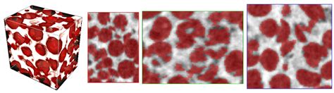 15 Microstructure Segmentation A Original Image 69x69x100 B