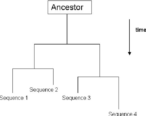 figure 1 from combinatorial optimization and application to dna