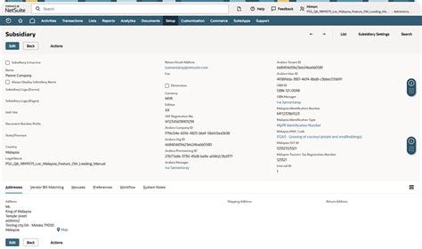 Netsuite E Invoicing Netsuite