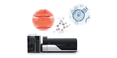 LC MS MS Method Package For Cell Culture Profiling Ver 3 Synapse Technologies