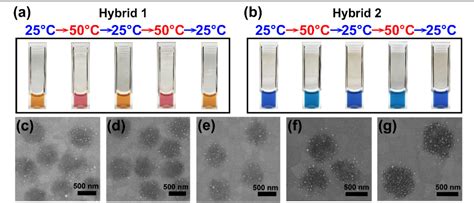 Figure 1 From Optical Properties Of Reconfigurable Polymersilver
