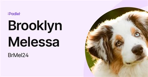Brooklyn Melessa Brmel24 Profile Padlet