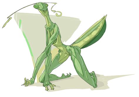 Rule 34 Antennae Anatomy Anthro Arthropod Arthropod Abdomen Crossed Arms Female Genitals