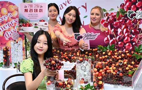 경제 헤럴드pic 헤럴드pic ‘맛있는 체리 드세요~ Zum 뉴스