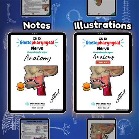 Glossopharyngeal Nerve Cn Ix Taimtalksmed Medicine Lectures Notes And Illustrations