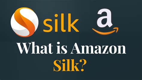 Silk Browser Logo