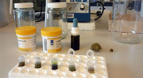 How Does Alpha Cat Cannabinoid Test Kit Works For Thc And Cbd