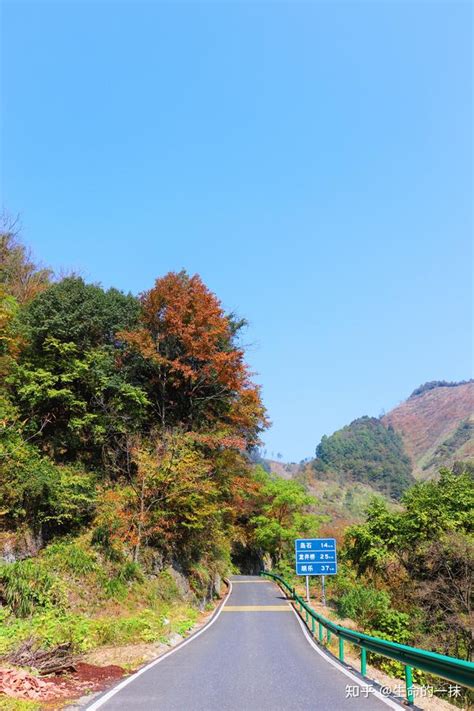 乐利峰 浙西天池 知乎