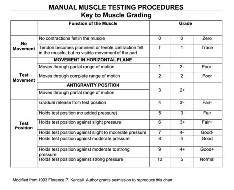 Manual Muscle Testing Grading Chart Florence Kendall Muscle Testing