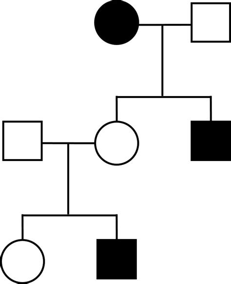 Solved We Are Trying To Determine The Possible Modes Of