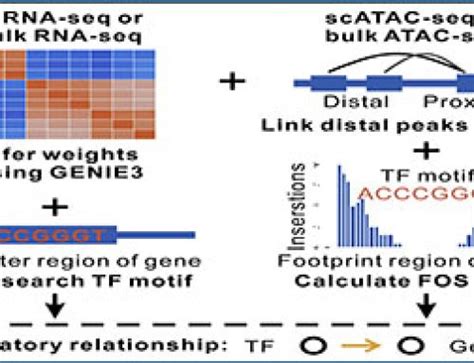 Comparative Evaluation Of Gene Set Analysis Approaches For RNA Seq Data RNA Seq Blog