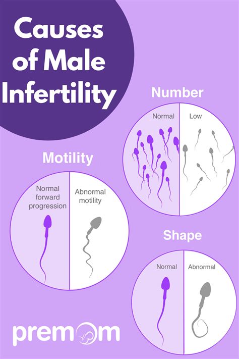 How To Compare Your Fertility Charting To A Typical Ovulation Chart Artofit