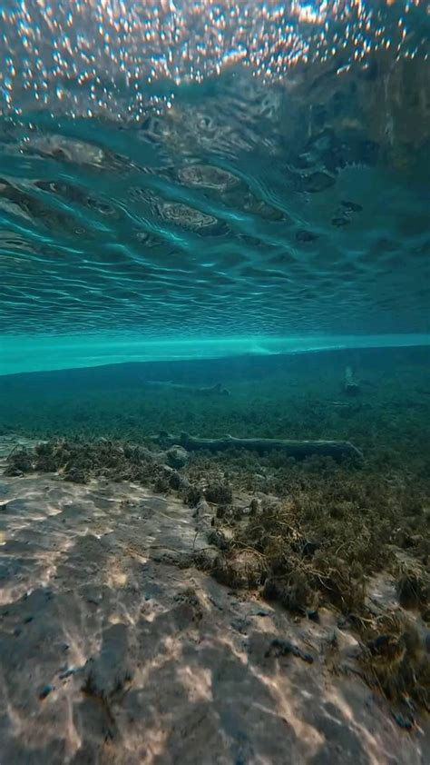 Maruf Billah Adi On Instagram Peace 💞 Video Video In 2024