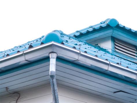 Ways To Prevent Mold Growth In Rain Gutters