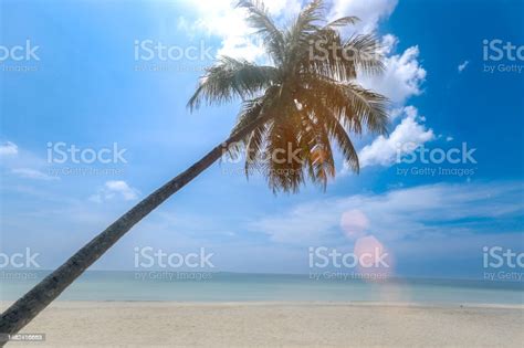 아름다운 하얀 모래 해변과 흐린 푸른 하늘에 코코넛 야자수 멋진 바다 전망 열대 풍경 여름 해변 파라다이스 아일랜드에서 휴식을 취하는 휴가 0명에 대한 스톡 사진 및 기타
