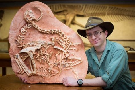 Tails Tell The Tale Of Dinosaur Sex Geology Page