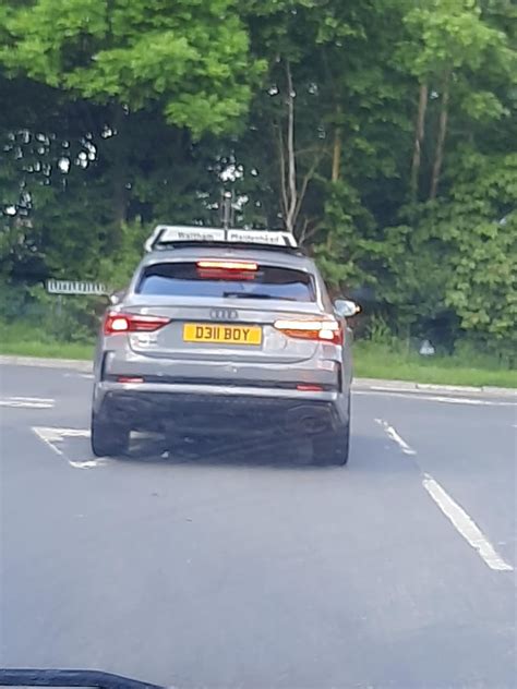 Lovely Jubbly Ronlyfoolsandhorses