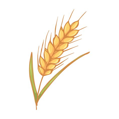Vector Hand Drawn Wheat Doodle Illustration Cute Harvest Clipart Farm