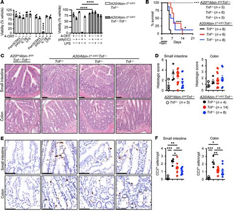 Deletion Of Trif Partially Improves Survival And Modestly Reduces Iec Download Scientific