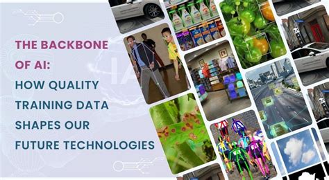 Quality Training Datashapes Our Future Technologies