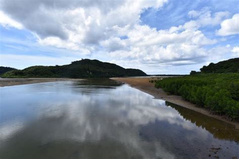 沖縄西表島の5カ所観光客立ち入り人数制限へ 環境省がエコツーリズム全体構想を認定 47NEWSよんななニュース47都道府県52参加