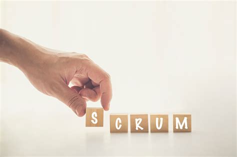 소프트웨어 개발 개념의 민첩하고 스크럼 손 나무 큐브를 선택하고 단어 Scrum을 채우기 위해 텍스트로 배치합니다 브로셔 디자인