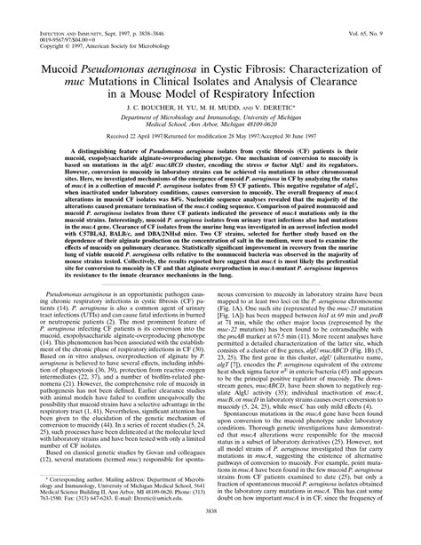 Pdf Mucoid Pseudomonas Aeruginosa In Cystic Fibrosis