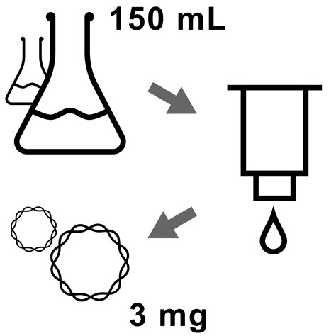 Production And Purification Of Plasmid Dna With The Zymo Research