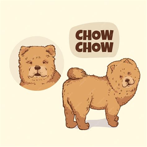 손으로 그린 개 품종 그림 무료 벡터