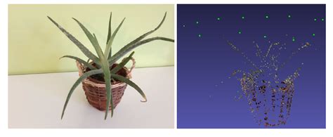 Github Iremsusavasstructure From Motion