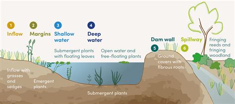 Latest News ANU Sustainable Farms