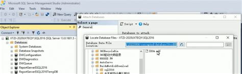 Sql Server Database Repair And Database Test Steps Dolphin Data Lab
