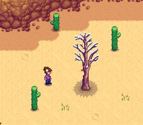 If You Plant A Regular Tree In The Desert It Still Gets Snowy In The Winter R StardewValley