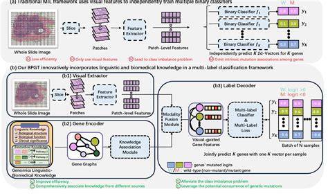 Predicting Genetic Mutation From Whole Slide Images Via Biomedical