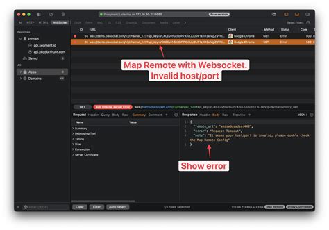 [bug] app crashed when using map remote for websocket · issue 1573