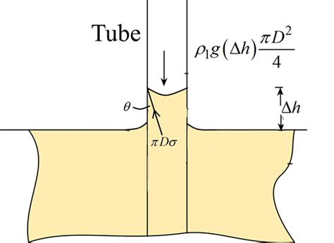 solved chapter 3 problem 41p solution introduction to fluid