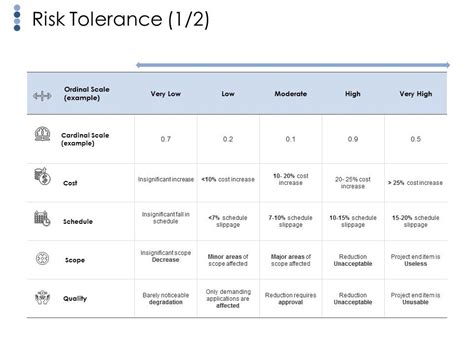 Risk Tolerance Template Ppt PowerPoint Presentation Ideas Layouts