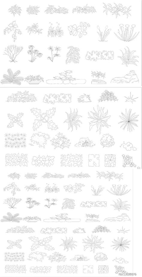 灌木植物CAD图库图片下载 红动中国