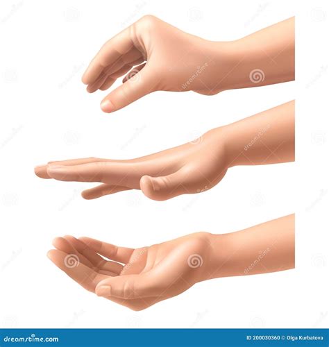 Human Hand And Arm