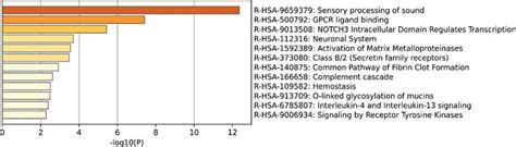 The Top 12 Pathways Enriched In Reactome Of Differentially Expressed Download Scientific
