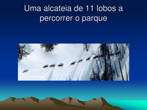 Ppt Reservas Naturais Powerpoint Presentation Free Download Id 4114576