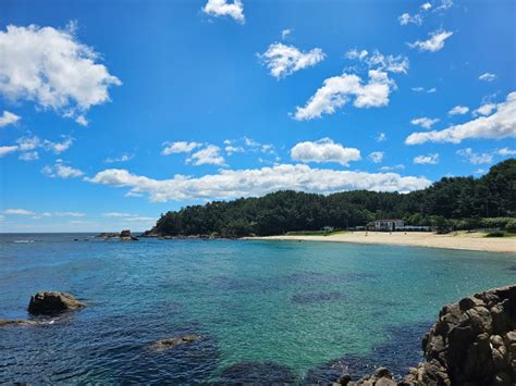 강원도 양양 1박 2일 여행 1일차 W 양양 여행코스 가볼만한곳 네이버 블로그