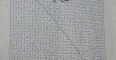 Labyrinth Makers Hate Him Find Out How He Solves Them All In One