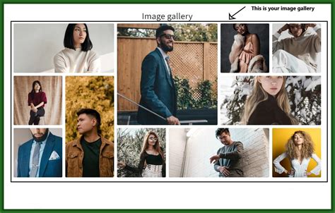 How To Add Image Gallery Section In Shopify Codecrew Infotech