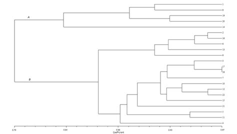 Upgma Dendrogram Of 22 Satsuma Genotypes From Rapd Data Similarity