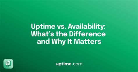 Uptime Vs Availability Whats The Difference And Why It Matters