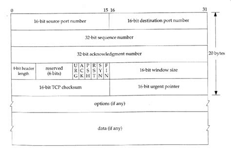 Digitally Stimulated Tcp Ip And The Data Flow