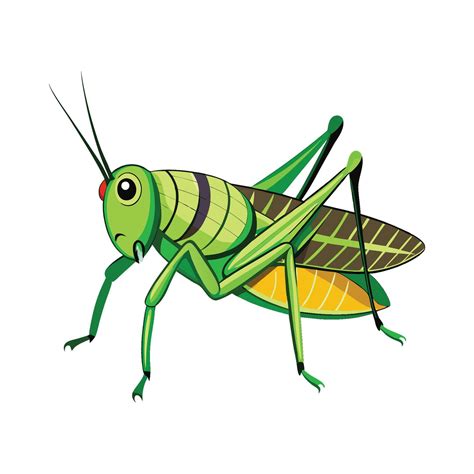 Illustration Of Grasshopper In Flight 58981324 Vector Art At Vecteezy Illustration Of Grasshopper In Flight 58981324 Vector Art At Vecteezy