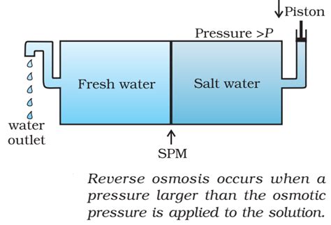 Osmosis And Osmotic Pressure